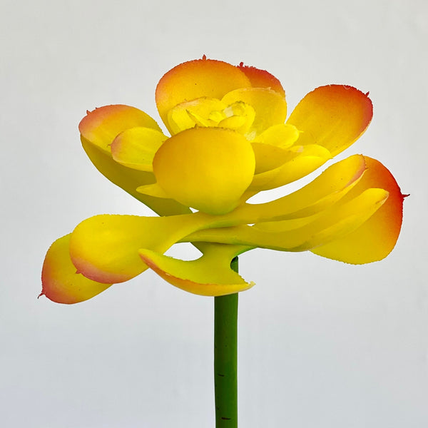 Wild Stone Yellow Faux Succulent Flower - Decora Home