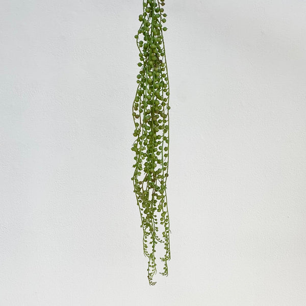 Strings of Pearls Hanging Bush - Decora Home