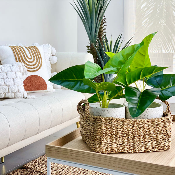 Rattan Baskets - Decora Home